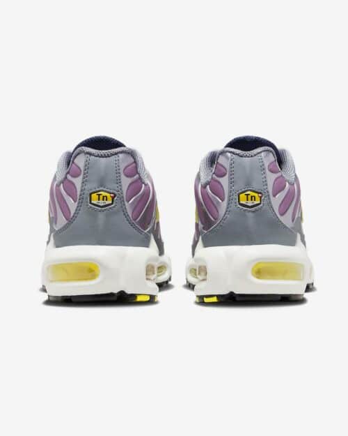 Nike Air Max Plus Tn Violet Dust FN8007-500 | SneakHeart